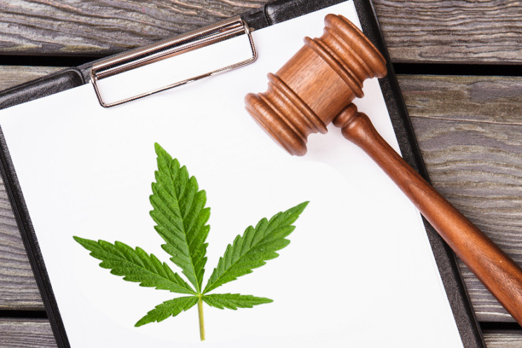 Cannabis Law - Asheville Dispensary