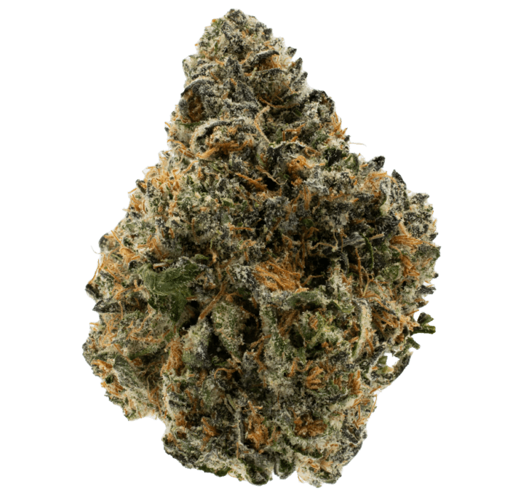 Papaya Berry Runtz THCA Flower - Asheville Dispensary