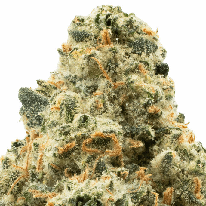 Peanut Butter Souffle THCA Flower