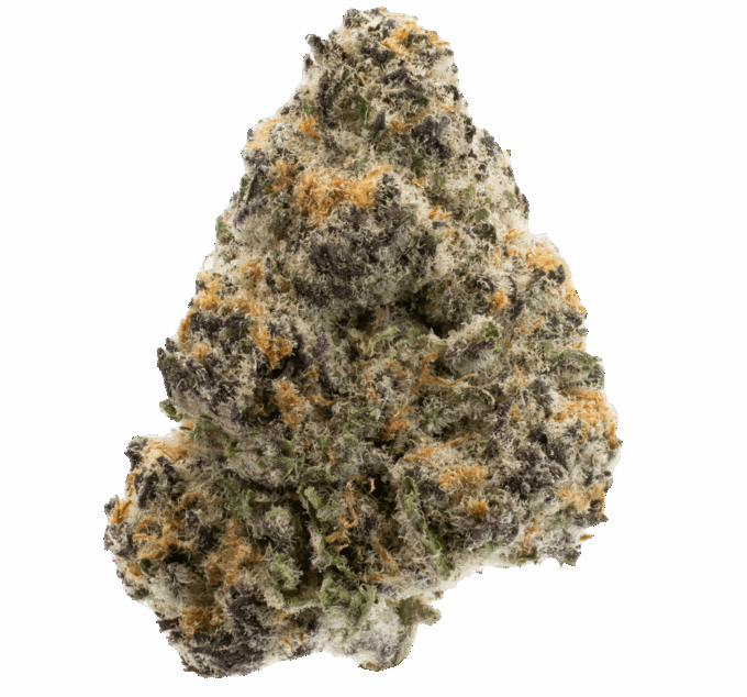 Purple Haze Thca Flower Asheville Dispensary