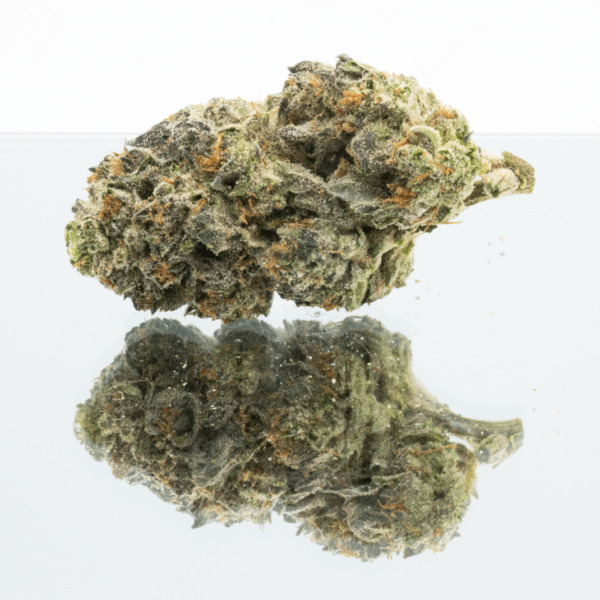 White Runtz THCA Flower - Asheville Dispensary