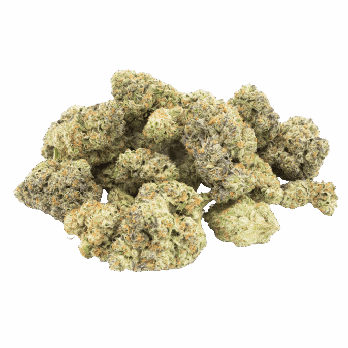 White Runtz THCA Flower - Asheville Dispensary