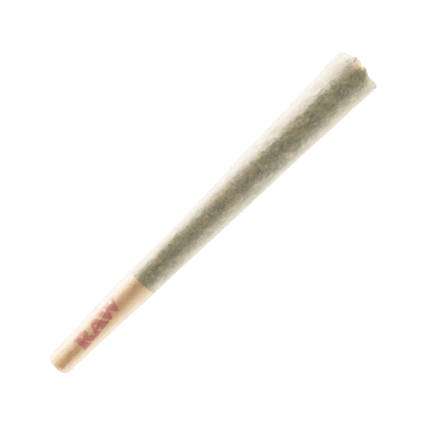 Moon Berry THCA Pre Roll - Asheville Dispensary