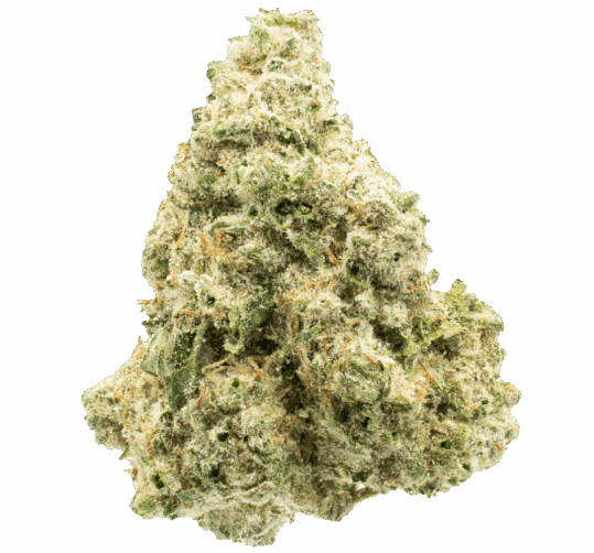 Mochi Berry THCA Flower - Asheville Dispensary