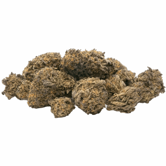 Granddaddy Purp THCA Flower - Asheville Dispensary