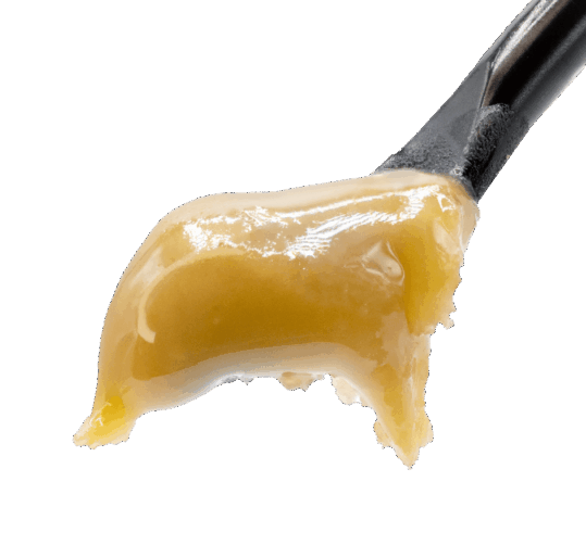 THCA Concentrate for Sale – Live Rosin, Diamonds & Crumble