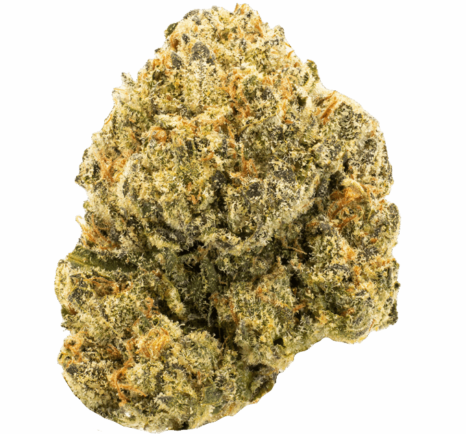 Buy Organic THCA Flower - High Potency and Terpene Rich