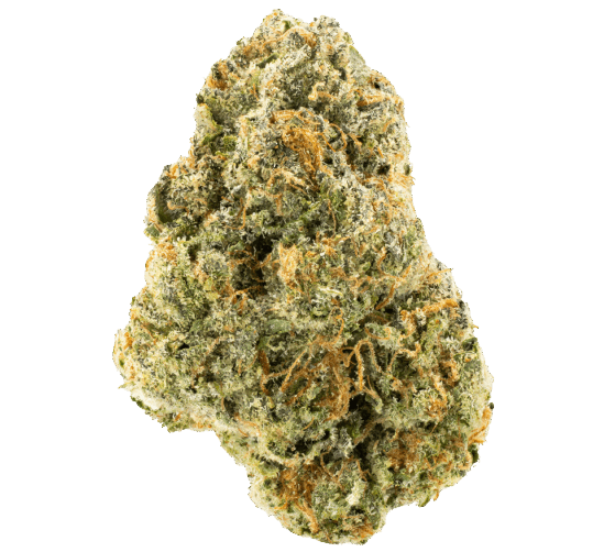 Buy Organic THCA Flower - High Potency and Terpene Rich
