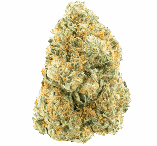 Buy Organic THCA Flower - High Potency and Terpene Rich