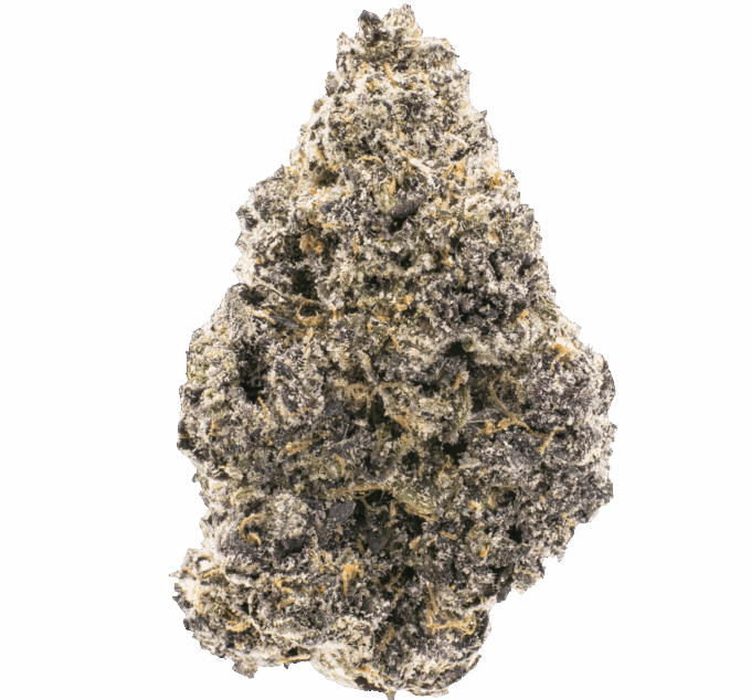 Rose Gold Runtz THCA Flower - Asheville Dispensary