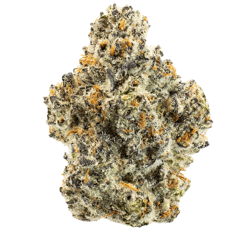 White Chocolate Chip THCA Flower - Asheville Dispensary White Chocolate Chip THCA Flower - Asheville Dispensary
