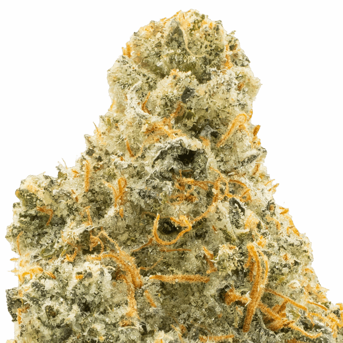 Moon Berry THCA Flower - Asheville Dispensary