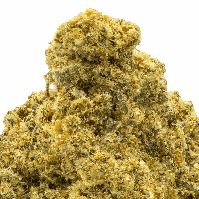 Obama Runtz Strain - THCA Flower - Asheville Dispensary