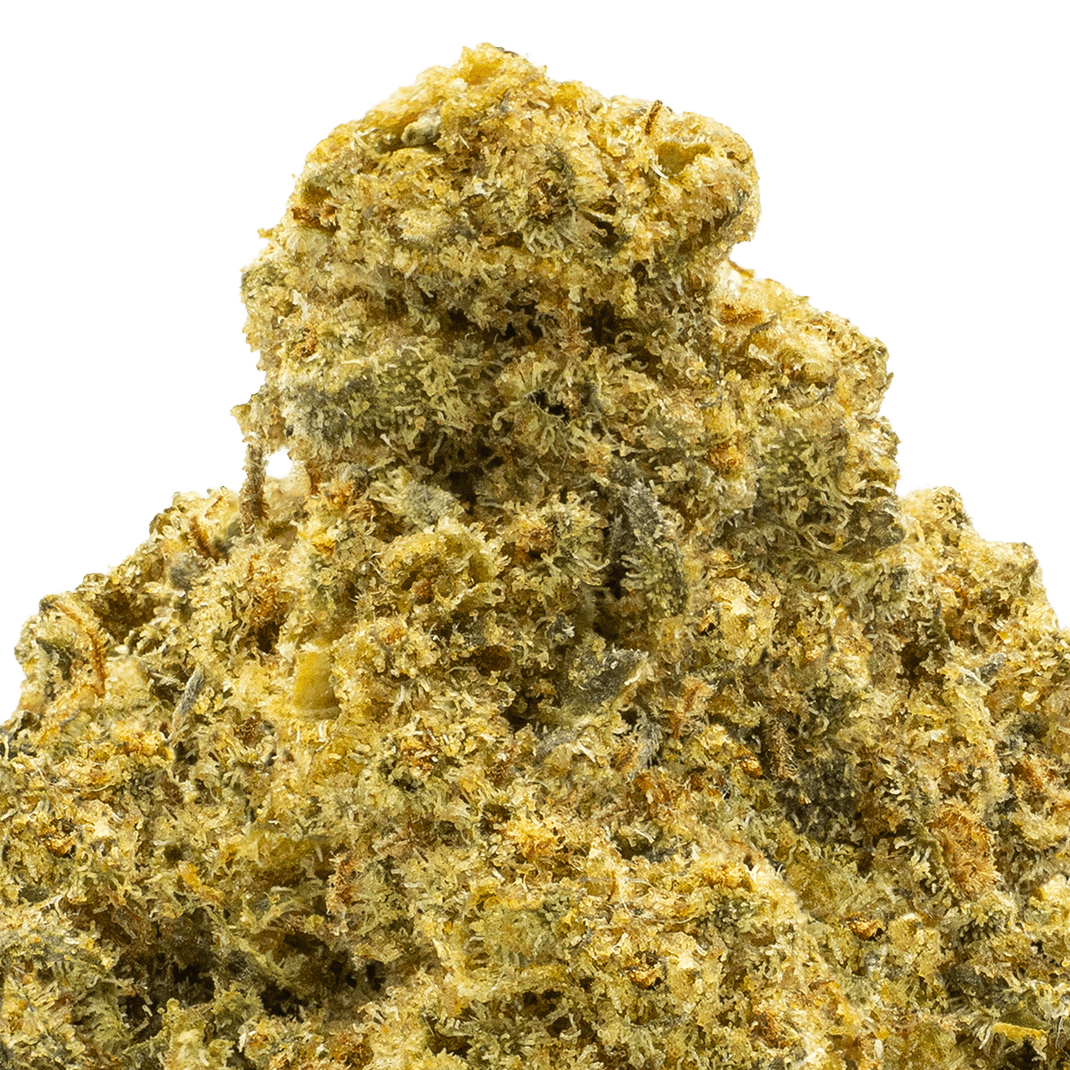 Obama Runtz Strain - THCA Flower - Asheville Dispensary