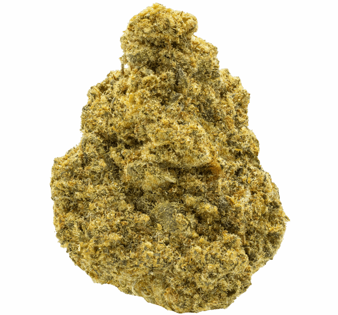 Obama Runtz Strain - THCA Flower - Asheville Dispensary