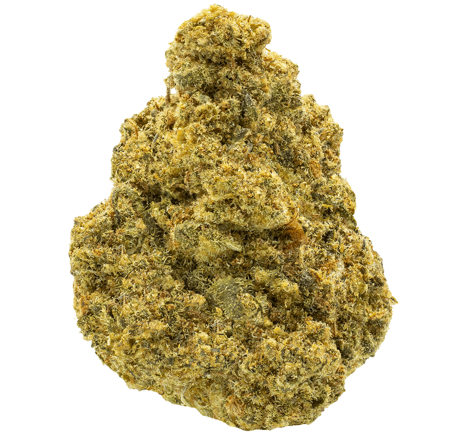 Obama Runtz Strain - THCA Flower - Asheville Dispensary