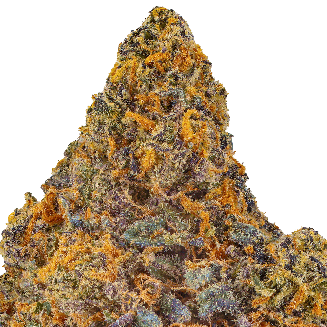 Italian Ice Strain - THCA Flower - Asheville Dispensary