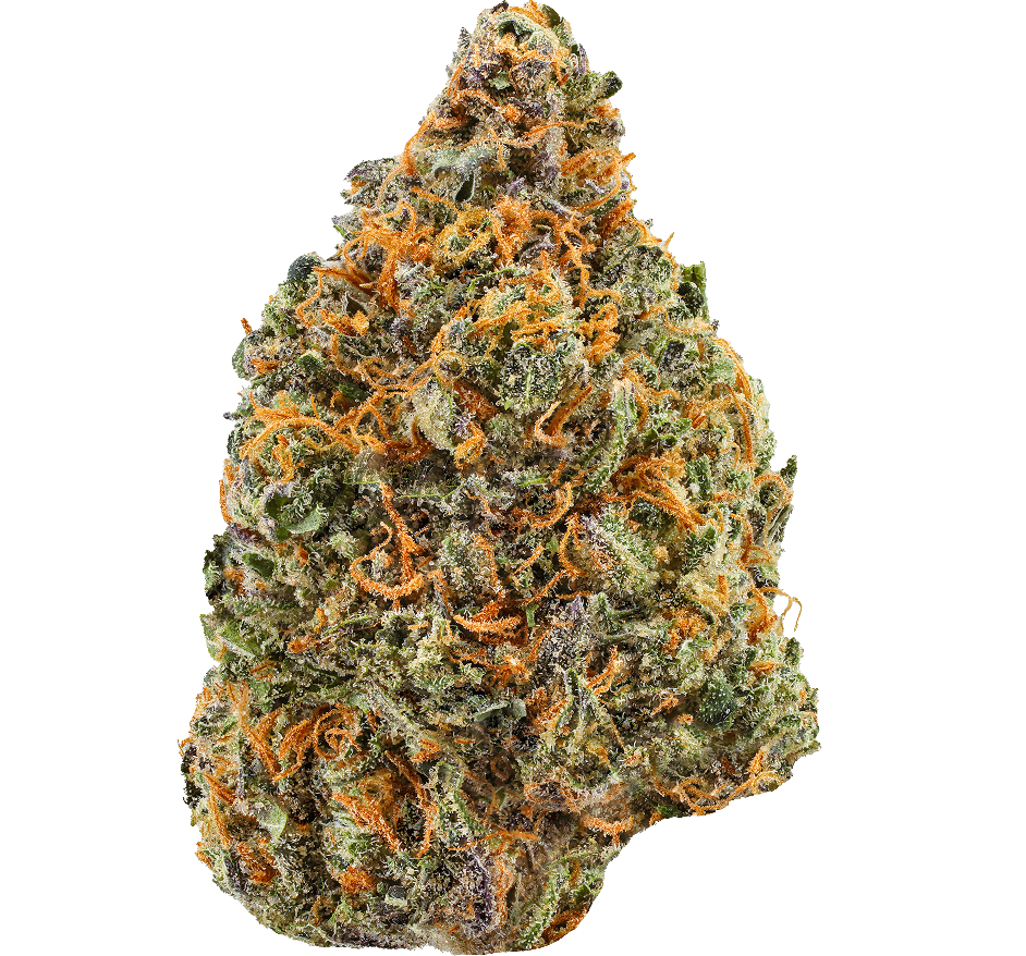 Purple Ghost Candy Strain - THCA Flower - Asheville Dispensary