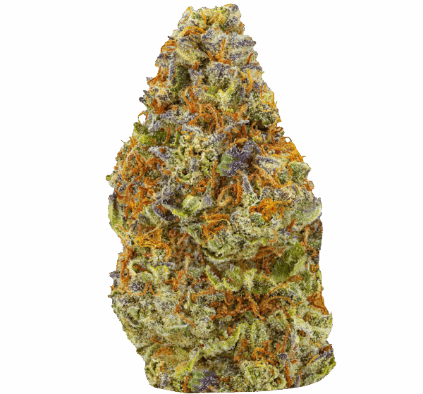 Peach Rings Strain - THCA Flower - Asheville Dispensary