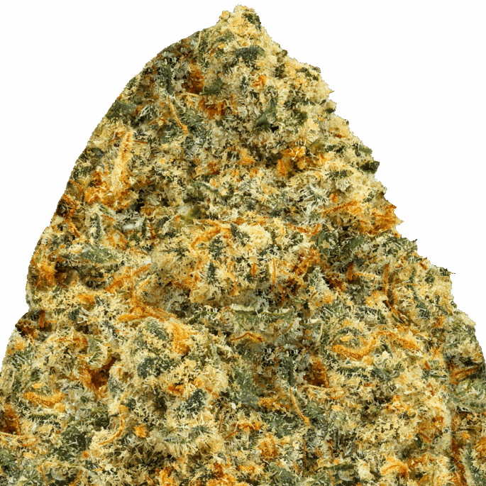 Tangilope Strain - THCA Flower - Asheville Dispensary