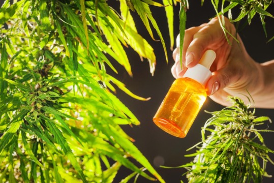 THCA vs Delta-9 THC: Understanding the Key Differences | Asheville ...