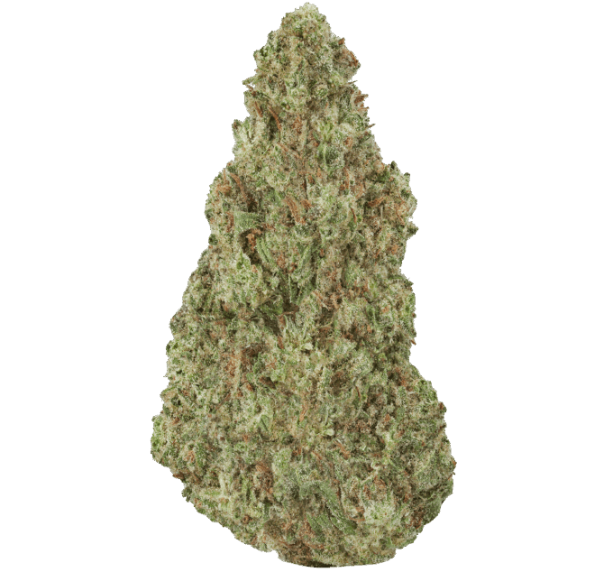 Jager Sour Diesel Strain - THCA Flower - Asheville Dispensary