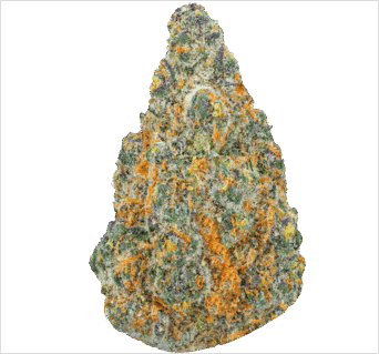 Can You Buy THCA Flower Online?