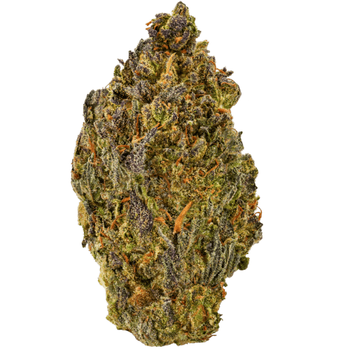 Sour Diesel Strain - THCA Flower - Asheville Dispensary