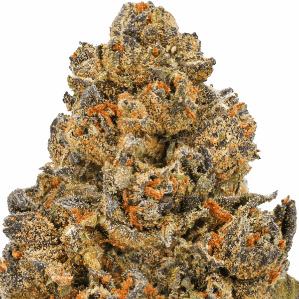 White Runtz Strain - THCA Flower - Asheville Dispensary